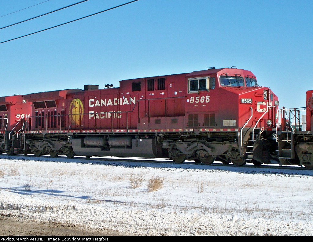 CP 8565